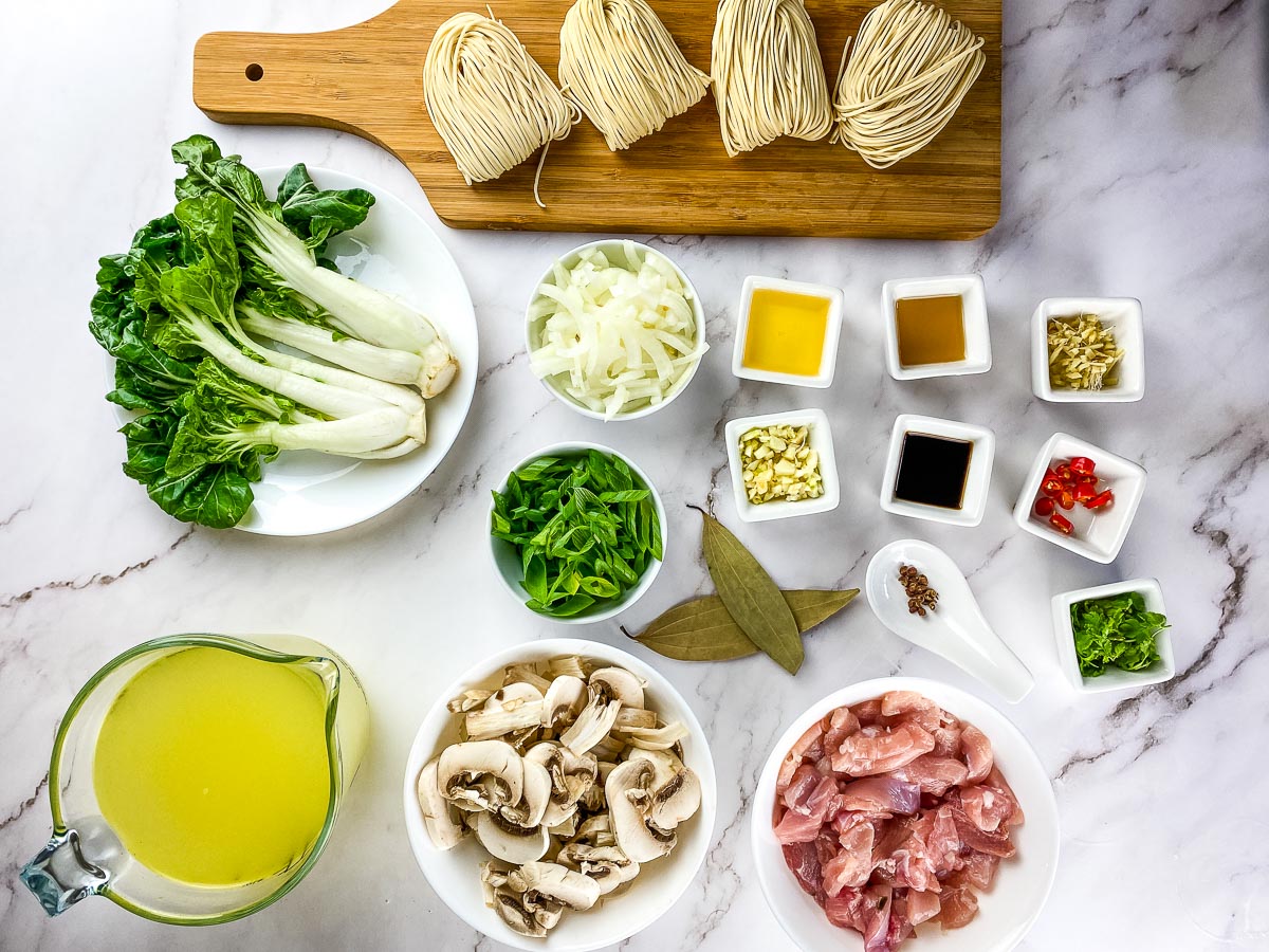 Chinese Chicken Noodle Soup - Caramel and Spice