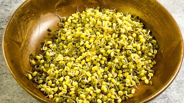 Sprouted Mung Salad (Indian Moong Bean Salad Recipe) - Caramel and Spice